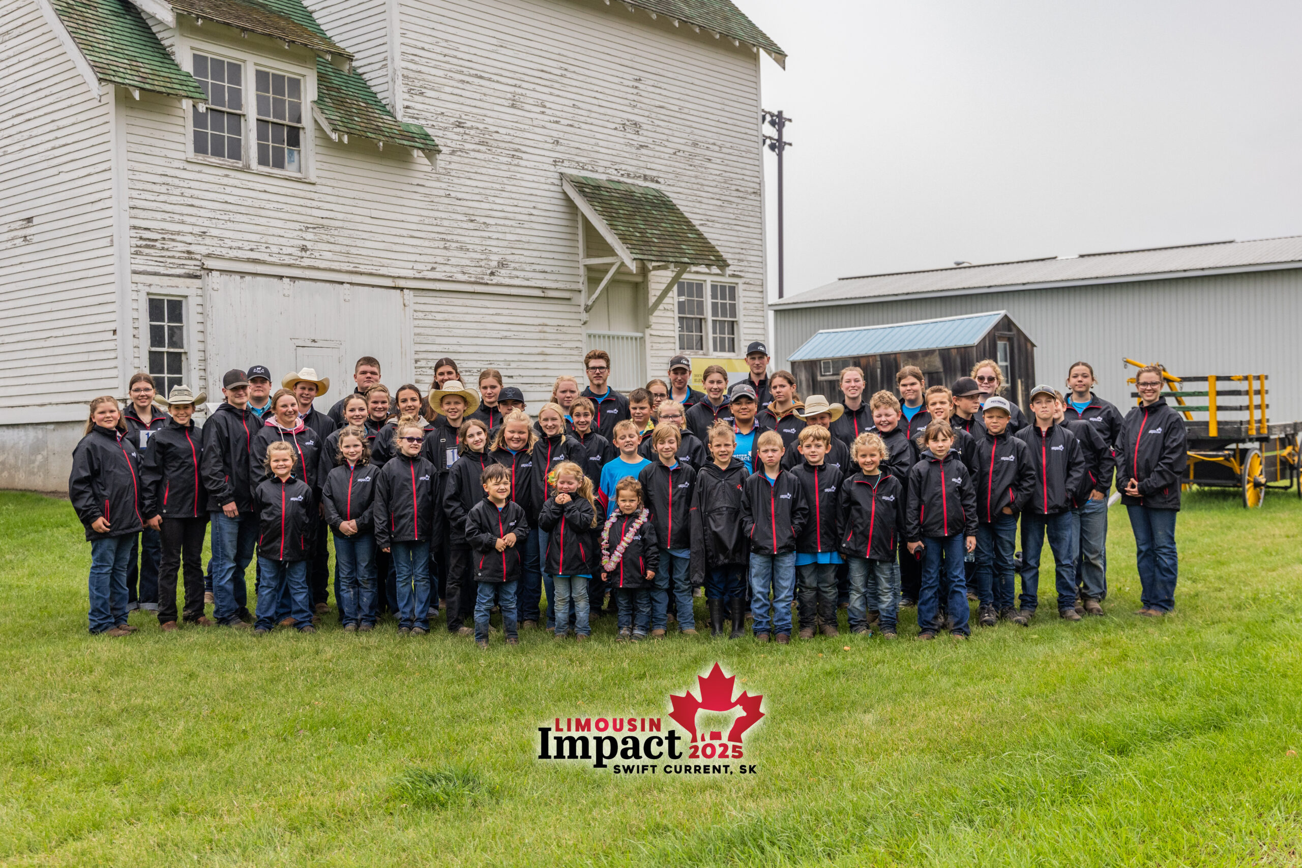 Impact Show - Canadian Limousin Association