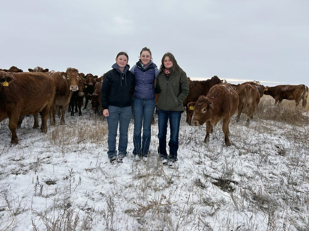 Opportunities - Canadian Limousin Association