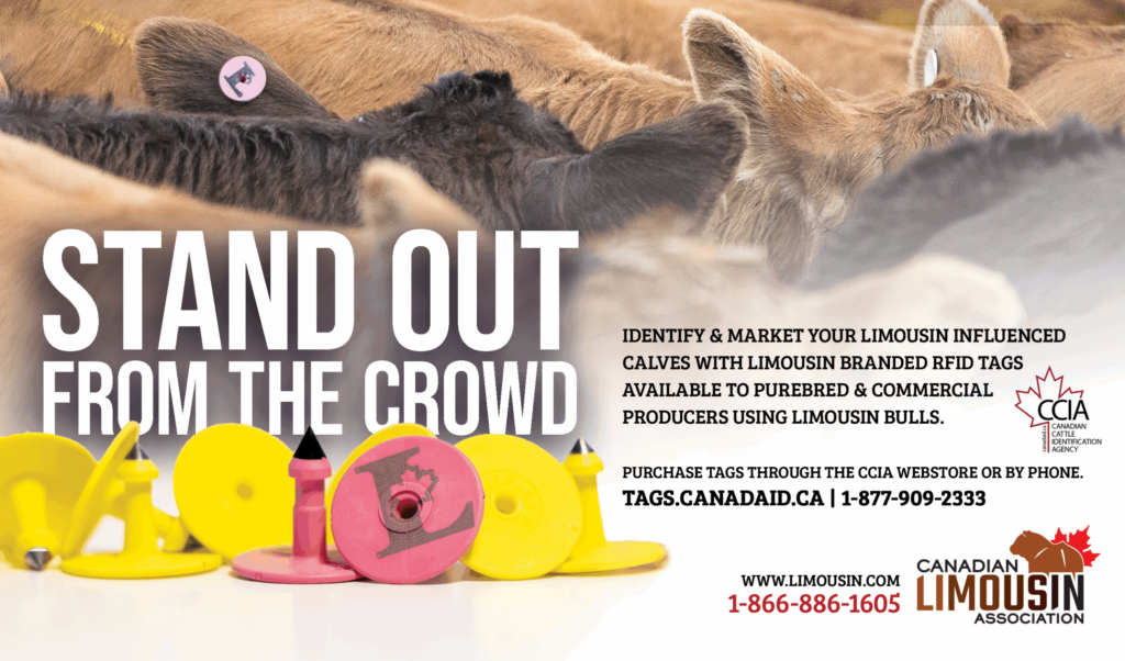 Commercial - Canadian Limousin Association