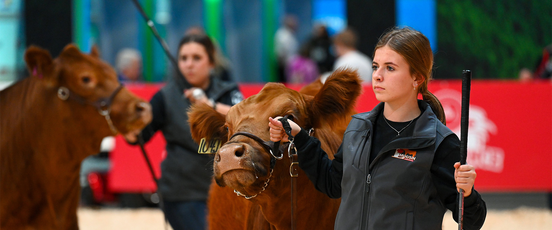 Shop - Canadian Limousin Association